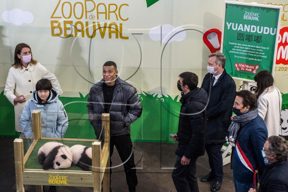 Kylian Mbappé et Zhang Jiaqi, cérémonie des prénoms des pandas à Beauval.